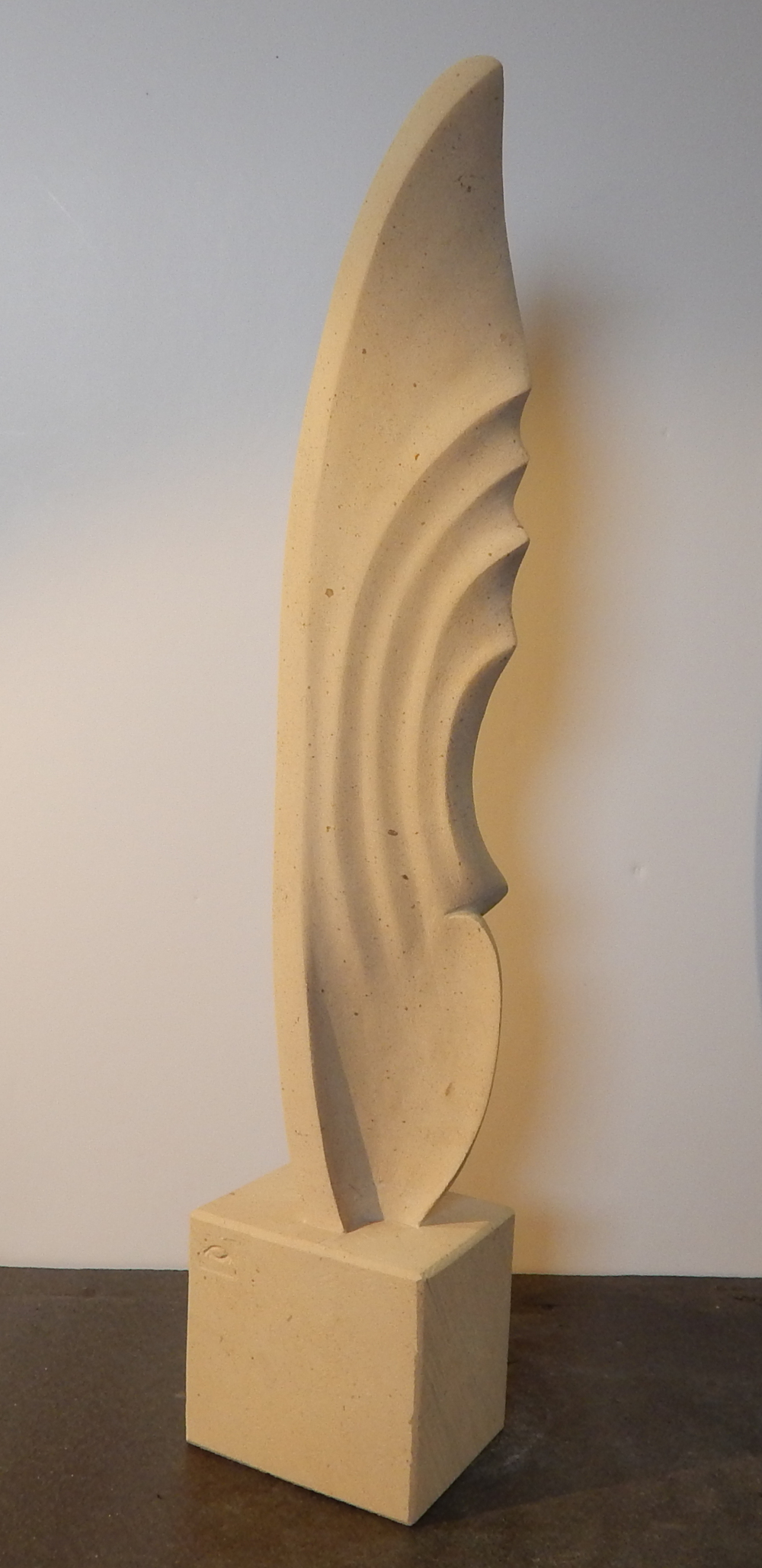 Cat's Eye Carving » Blog Archive » Broken seashell.