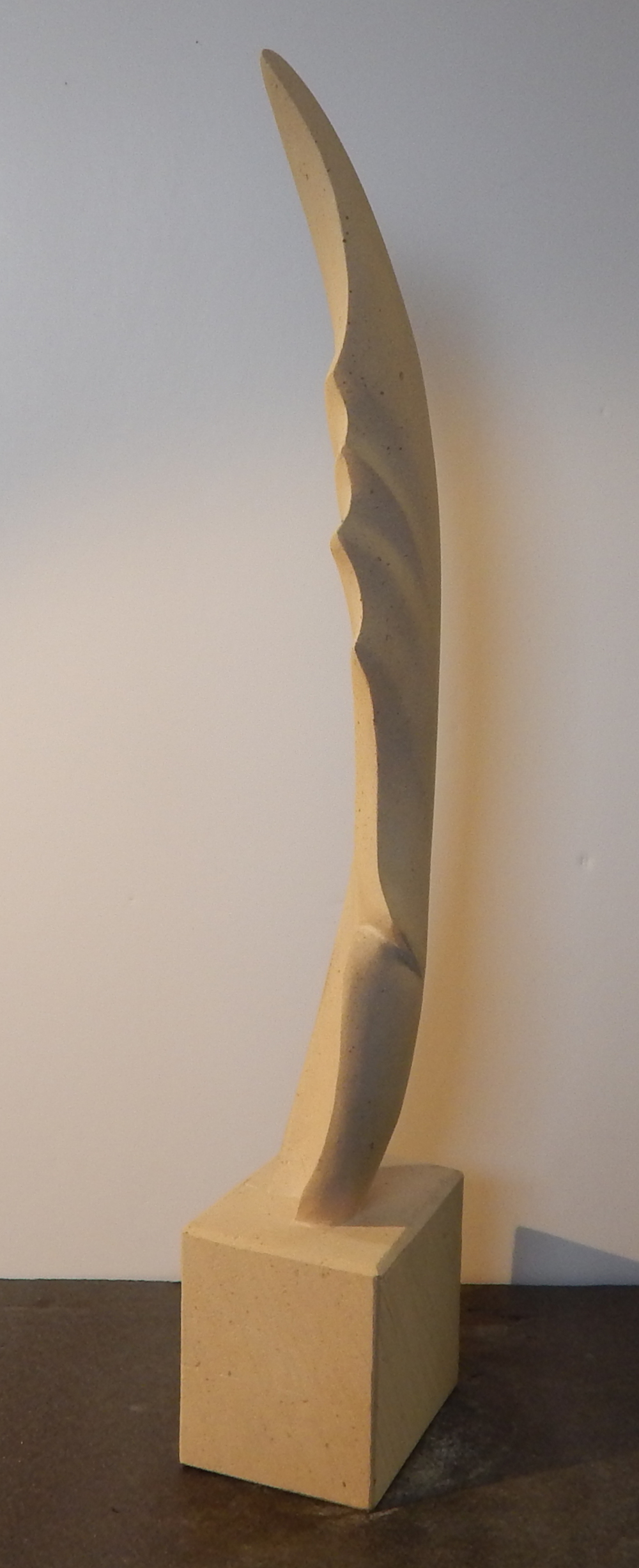 Cat's Eye Carving » Blog Archive » Broken seashell.