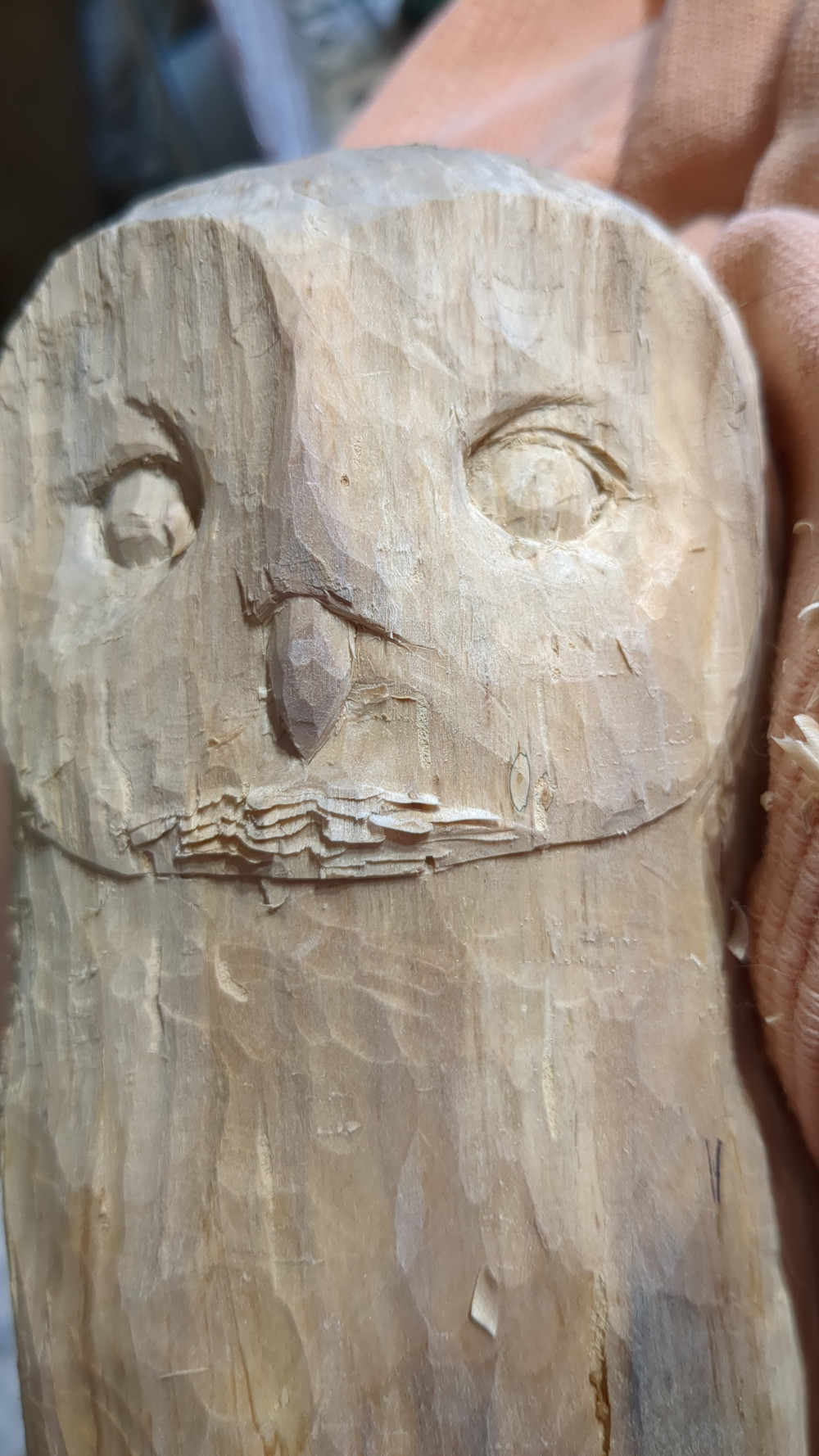 Cat's Eye Carving » Blog Archive » Willow carving